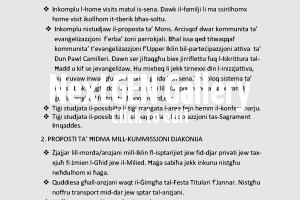 Pjan Pastorali 2012 - 2014 - Parrocca Familja Mqaddsa Iklin