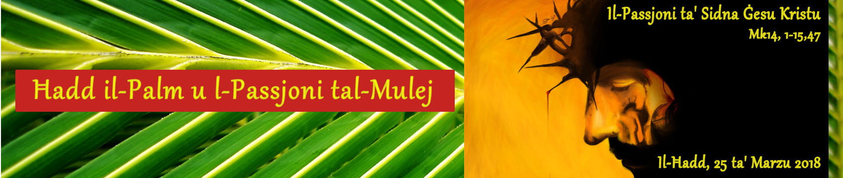 Home - Parrocca Familja Mqaddsa Iklin