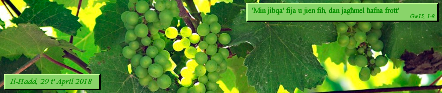 Home - Parrocca Familja Mqaddsa Iklin